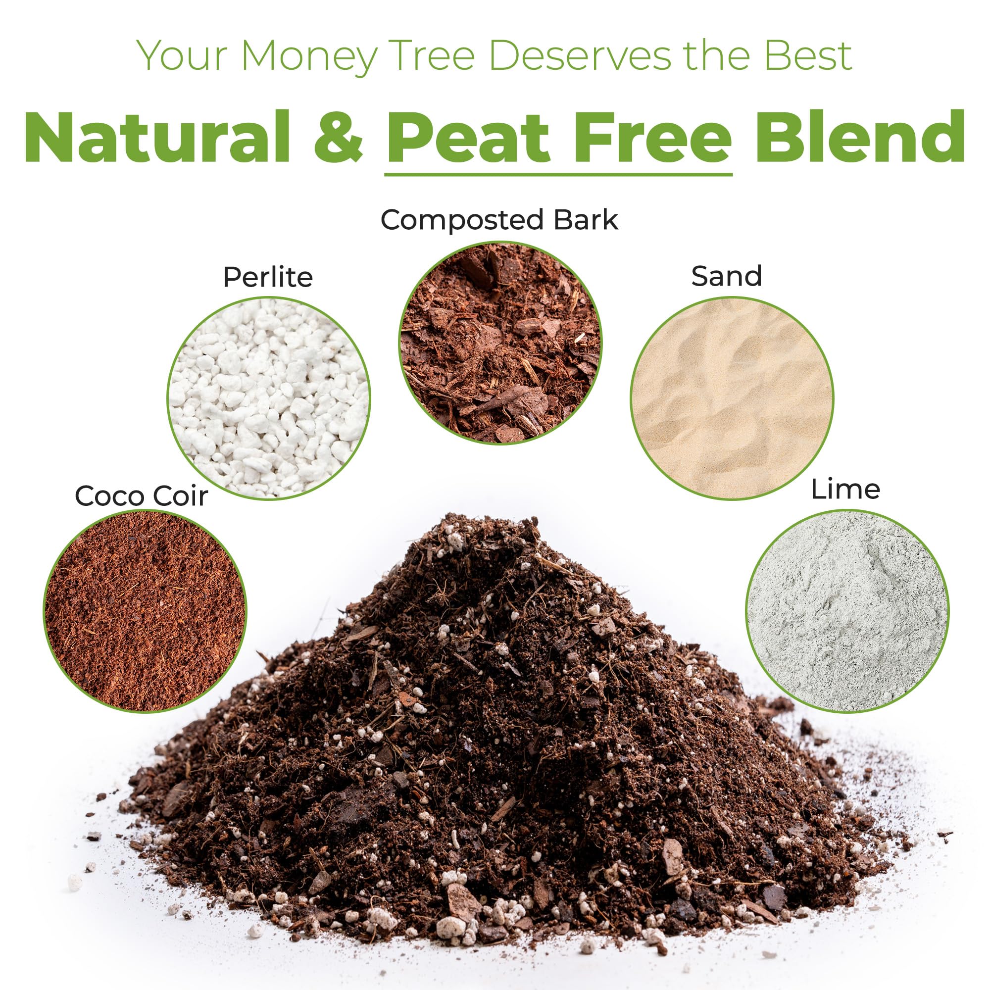 Perfect Plants Money Tree Potting Soil 2qt | Organic Coco Coir Based Plant Mix for Indoor Trees | Quickly Grow Your Indoor Forest (2qts.)