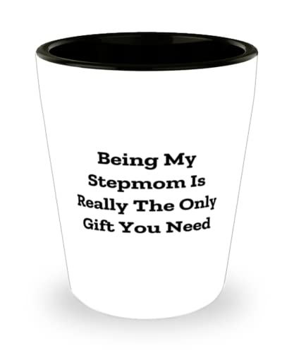 Useful Stepmom, Being My Stepmom Is Really The Only You Need, Mother's Day Shot Glass For Stepmom