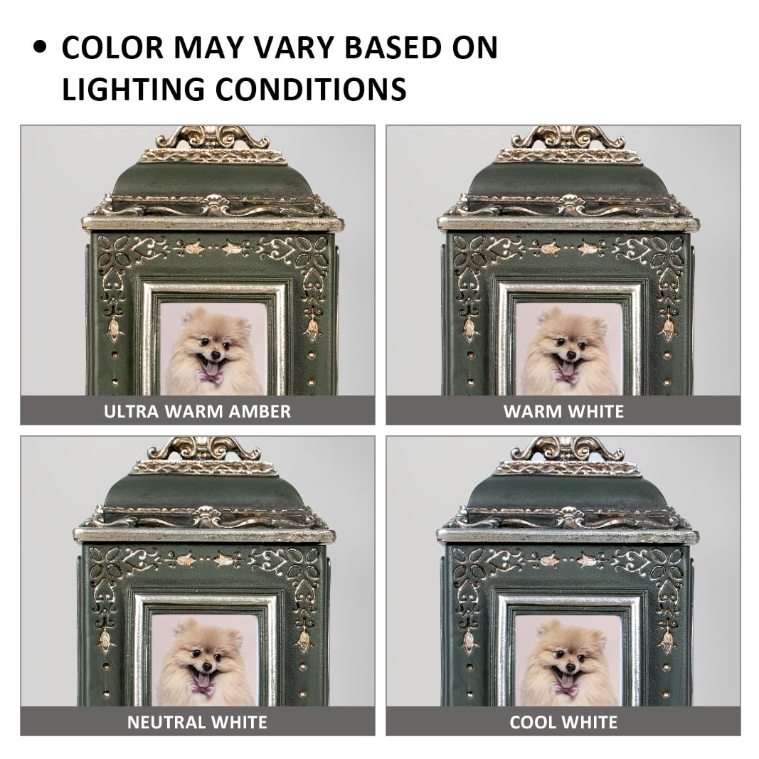 AELS Pet Urn Memory Box for Keepsakes with Photo Slot, Dog Memorial Urns for Ashes, Cat or Dog Cremation Urns, Dark Green