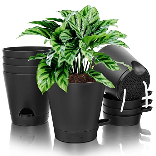 6 Inch Self Watering Plastic Planters, Warmplus Plant Pots for Indoor Outdoor with Drainage Holes, Watering Wick, Watering Lip for Snake Plant, African Violet, Aloe, and Most House Plants 6-Pack Black
