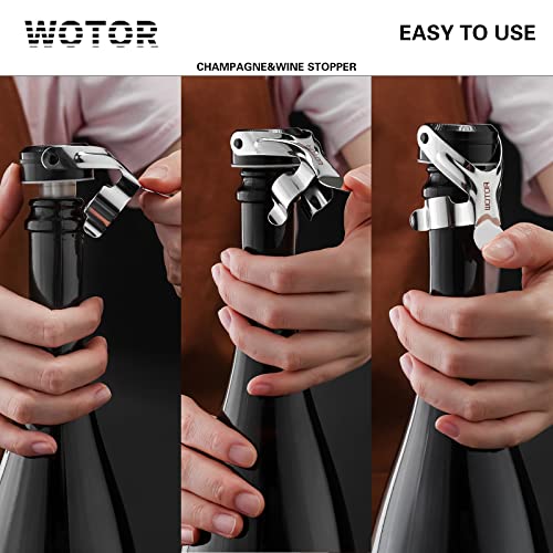 WOTOR Champagne&Wine Bottle Stoppers Stainless Steel with Food Grade Silicone, Leak Proof Keep Fresh Reusable Saver, Cork Suitable for Wine, Champagne, Cava, Prosecco and Sparkling (2 Pack Silver)