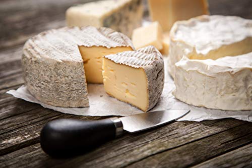 Microbial Rennet For Cheese Making | Vegetarian Rennet Tablets | Milk Coagulant | Vegan Cheese making | Shelf-Stable Rennet Tablets, Perforated For Easy Use