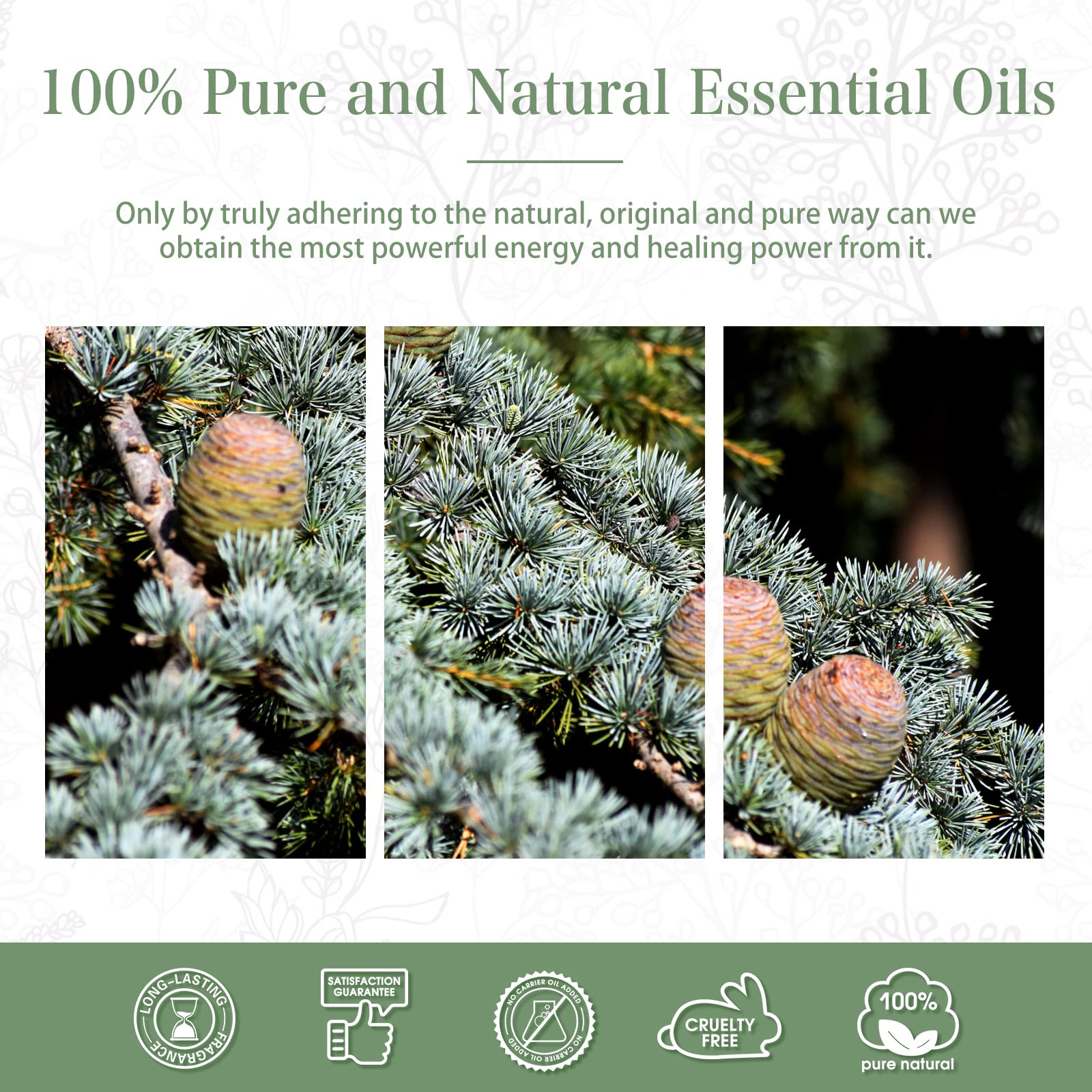 Cedarwood Essential Oil, 3.38Fl.Oz PHATOIL Pure Essential Oil Singles for Aromatherapy Diffusers, Humidifiers, Great for DIY Candle and Soap Making, Gift for Friend