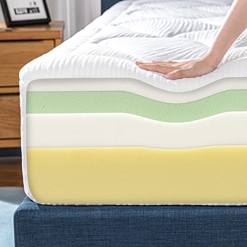 ZINUS 12 Inch Cloud Memory Foam Mattress / Pressure Relieving / Bed-in-a-Box / CertiPUR-US Certified, Queen