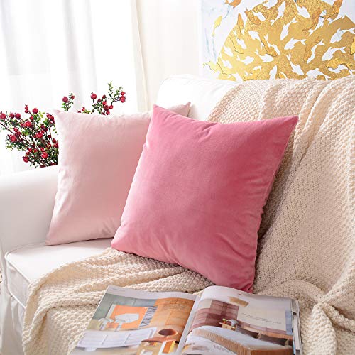 MERNETTE Pack of 2, Velvet Soft Decorative Square Throw Pillow Cover Cushion Covers Pillow case, Home Decor Decorations for Sofa Couch Bed Chair 22x22 Inch/55x55 cm (Pink)