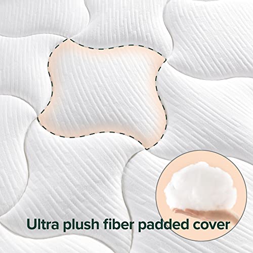 ZINUS 12 Inch Cloud Memory Foam Mattress / Pressure Relieving / Bed-in-a-Box / CertiPUR-US Certified, Queen