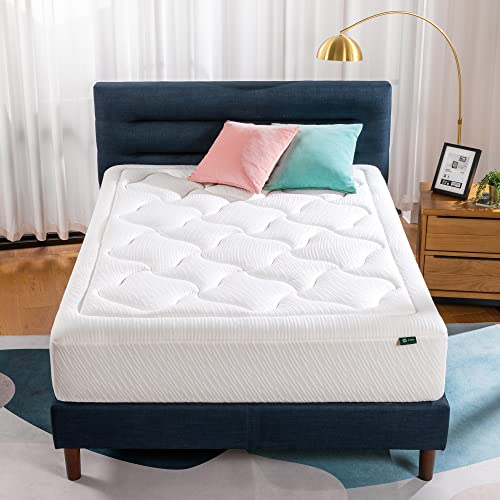 ZINUS 12 Inch Cloud Memory Foam Mattress / Pressure Relieving / Bed-in-a-Box / CertiPUR-US Certified, Queen