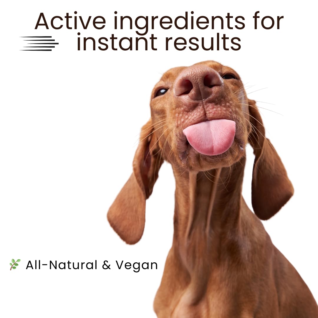 Exfoliating Dead Sea Salt & Coconut Oil Dog Scrub - Deep-Cleansing, Anti-Itch, Moisturizing with Oatmeal & Essential Oils