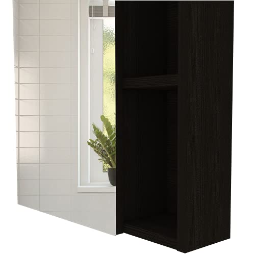 Depot E-Shop Andes Medicine Cabinet with Mirror - Black Wengue