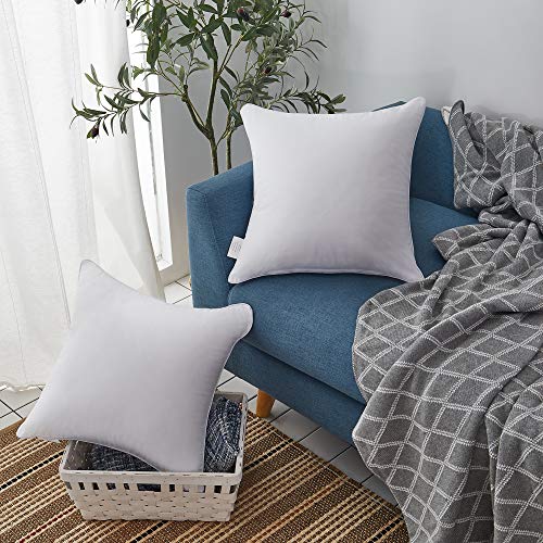 Leeden 20 x 20 Pillow Inserts (Set of 2) - Throw Pillow Inserts with 100% Cotton Cover - 20 Inch Square Interior Sofa Pillow Inserts - Decorative Pillow Insert Pair - White Couch Pillow