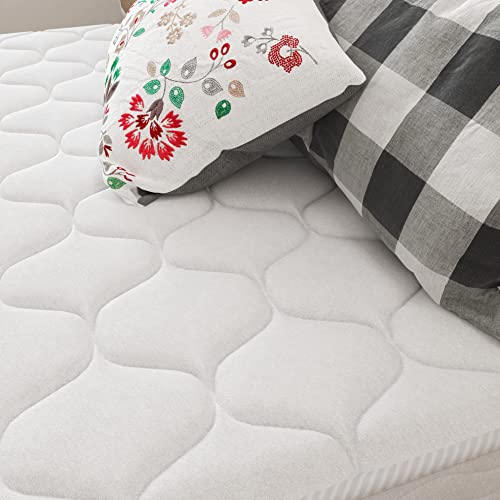 NapQueen 8 Inch Innerspring Twin-XL Mattress Medium Firm Memory Foam Mattress, Bed in a Box