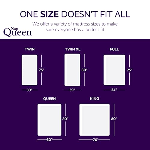 NapQueen 8 Inch Innerspring Twin-XL Mattress Medium Firm Memory Foam Mattress, Bed in a Box