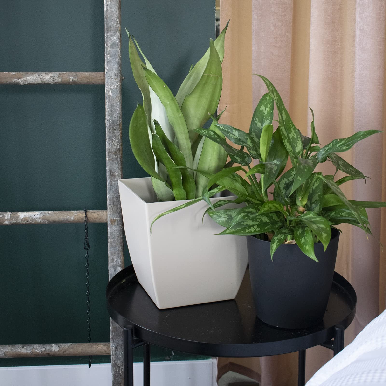 The HC Companies 8 Inch Aria Square Self Watering Planter - Plastic Plant Pot for Indoor Outdoor Plants Flowers Herbs, Matte Black
