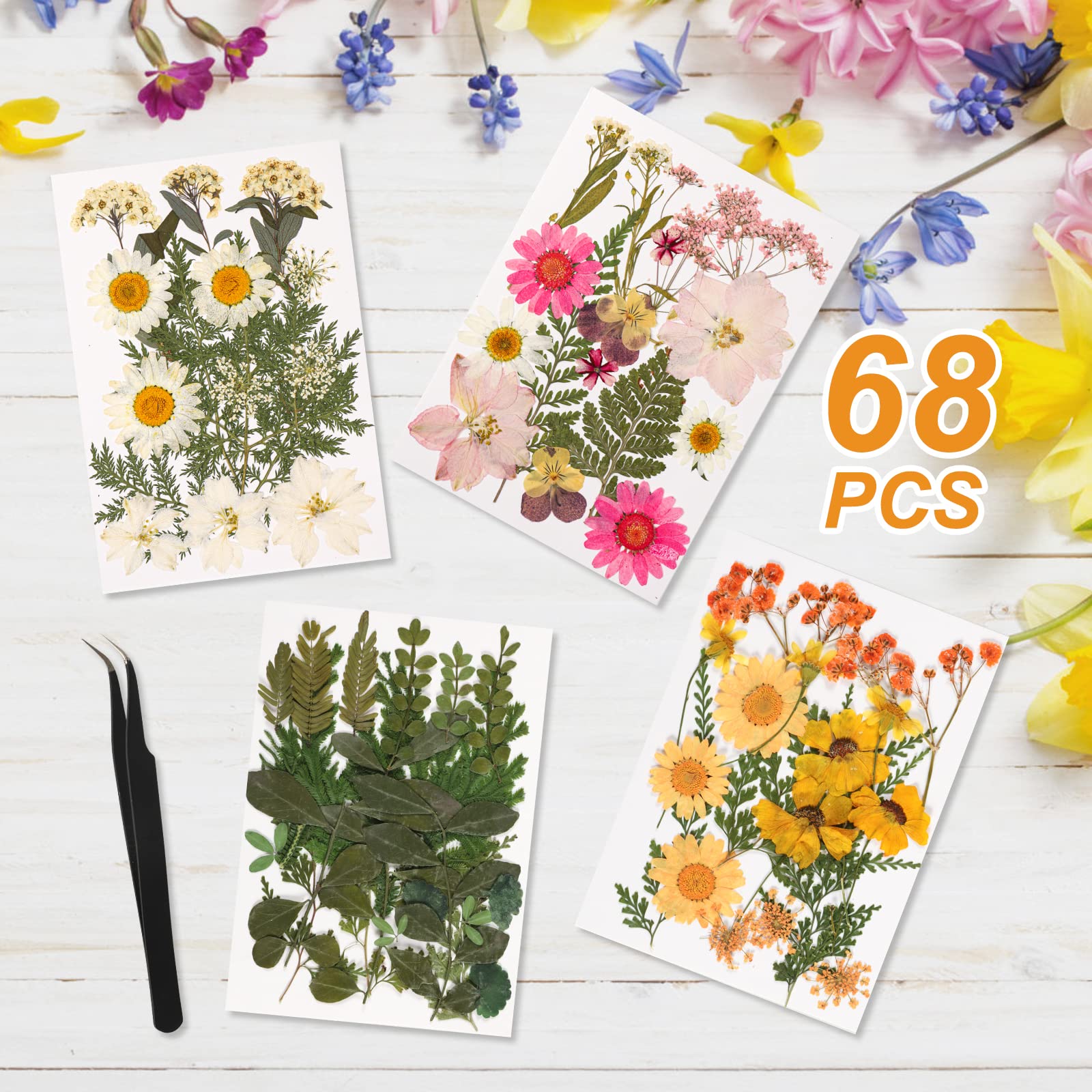 Double Glass Frame for Pressed Flowers - w/Real Dried Flowers and Tweezer for Handicrafts, Photo, or Other Small Flat Items