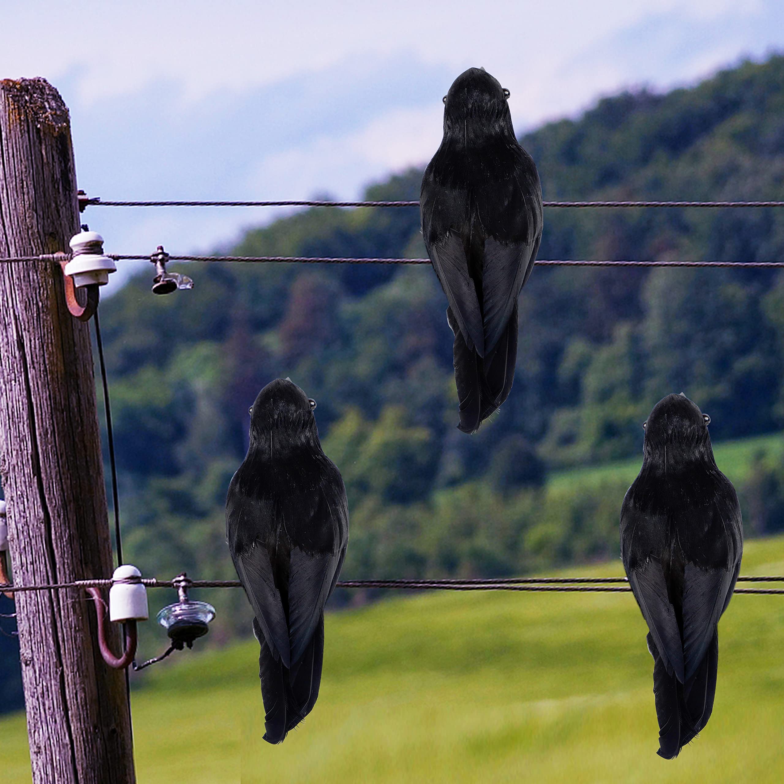 ATDAWN Halloween Birds, Black Feathered Crows, Realistic Looking Halloween Decoration Birds (6.7")