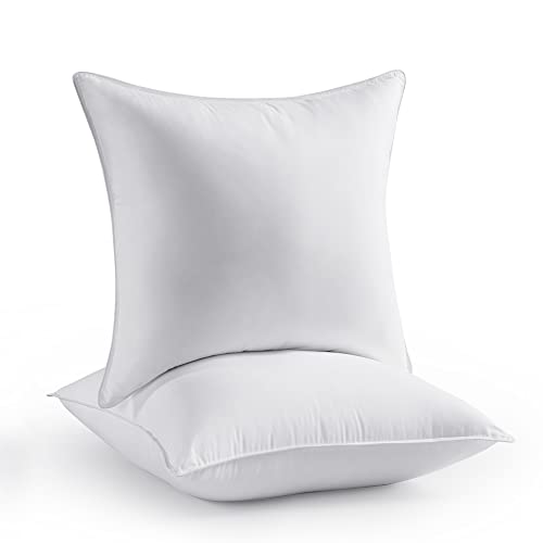 Seward Park Throw Pillow Inserts 20 x 20 in Set of 2 for Couch and Sofa, Soft Fluffy Square Form Down Alternative Cushion Decorative Pillow Inserts