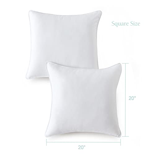 Seward Park Throw Pillow Inserts 20 x 20 in Set of 2 for Couch and Sofa, Soft Fluffy Square Form Down Alternative Cushion Decorative Pillow Inserts