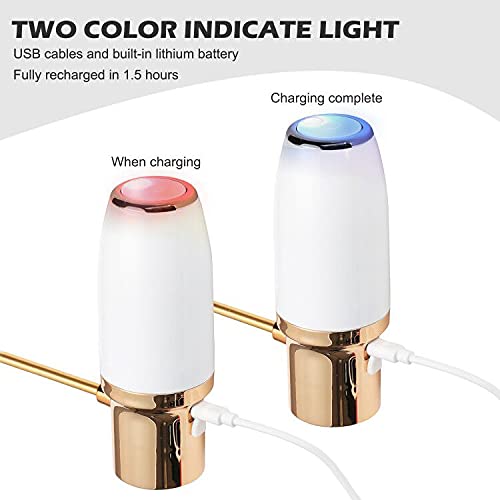 WINIRINA Automatic Wine Aerator Pourer Electric Smart Decanter,Dispenser Rechargeable with Micro USB Cable