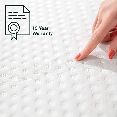 ZINUS 12 Inch Green Tea Essential Memory Foam /Bed-in-a-Box/Affordable Mattress/CertiPUR-US Certified, Queen, White