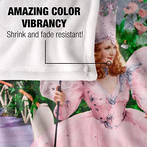 The Wizard of Oz Stanley Desantis Vintage Dorothy and Glinda Silky Touch Super Soft Throw Blanket 36" x 58"