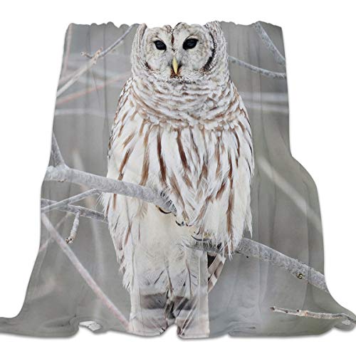 Singingin Ultra Soft Flannel Fleece Bed Blanket Cute White Owl Perch On Tree Branch Throw Blanket All Season Warm Fuzzy Light Weight Cozy Plush Blankets for Living Room/Bedroom 40 x 50 inches