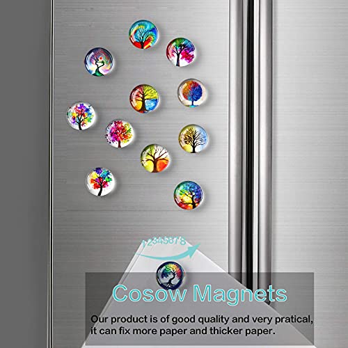 COSOW 12Pcs Glass Strong Magnetic Refrigerator Magnet Fridge Sticker - Round Life Tree Glass Fridge Decoration, Office Whiteboard Magnet, Cabinet Magnet, Dishwasher Magnet, Cabinet Cute Locker Magnet…