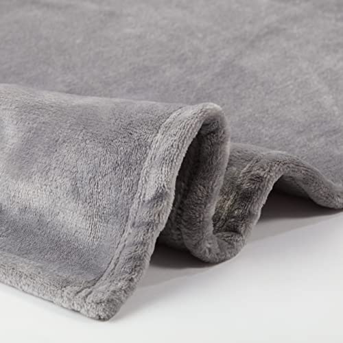 SERTA Cozy Plush Thick Fuzzy Super Soft Lightweight Throw Blanket for Bed, Couch, or Travel, Small (30 in x 40 in), Grey