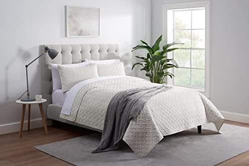 SERTA Cozy Plush Thick Fuzzy Super Soft Lightweight Throw Blanket for Bed, Couch, or Travel, Small (30 in x 40 in), Grey