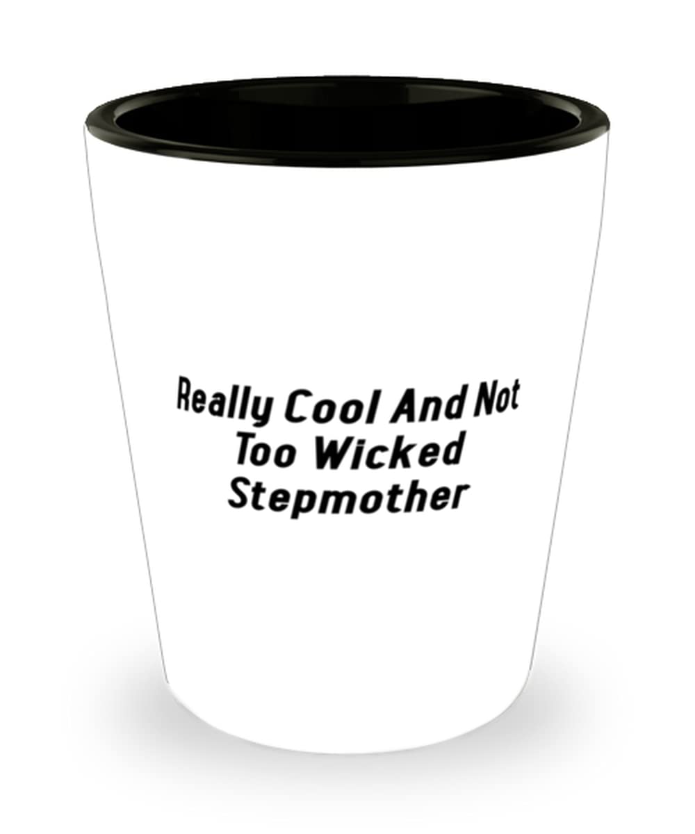 Useful Stepmother, Really Cool And Not Too Wicked Stepmother, Nice Shot Glass For Mom From Son