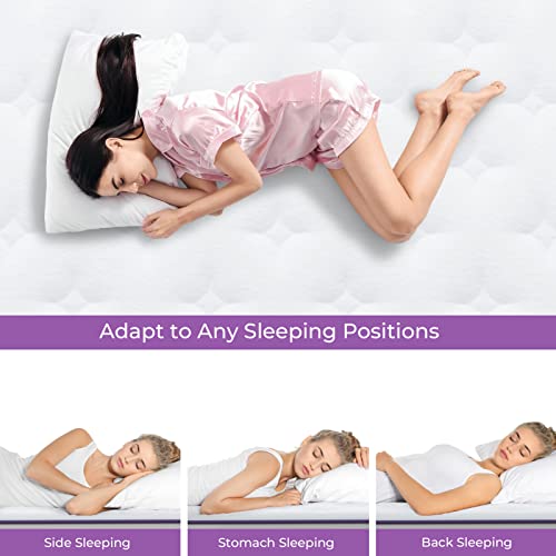 REGOSS 10 Inch Innerspring Hybrid Mattress, Motion Isolation Individually Wrapped Pocket Coils Mattress, Queen Size Mattress in a Box, Foam and Spring Mattress for Pressure Relief, Purple