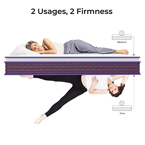 REGOSS 10 Inch Innerspring Hybrid Mattress, Motion Isolation Individually Wrapped Pocket Coils Mattress, Queen Size Mattress in a Box, Foam and Spring Mattress for Pressure Relief, Purple