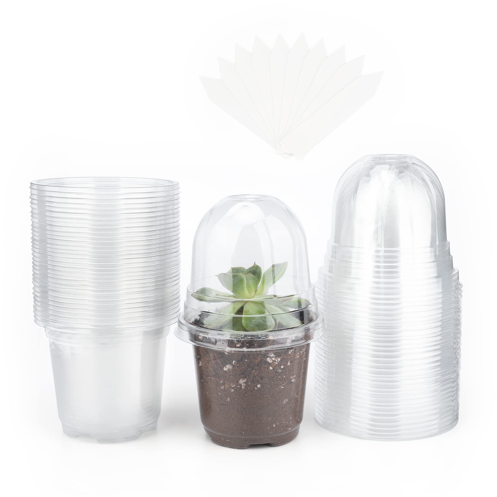 KINGLAKE 32 Pcs 4" Clear Plastic Plants Nursery Pots with Humidity Dome Seedlings Flower Plant Container Seed Starting Pots with 10 Pcs Plant Labels
