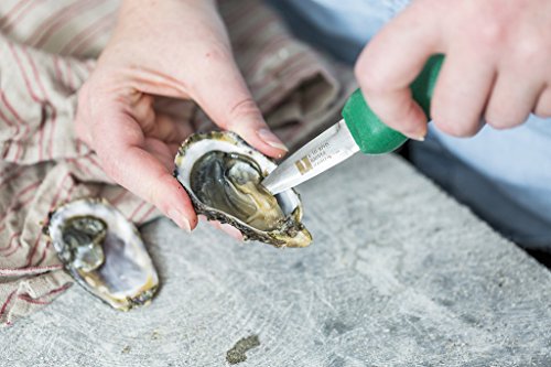 R. Murphy/Ramelson Duxbury Oyster Knife - As Seen in Bon Appetit Magazine - Shellfish Seafood Clam Shucker Tool - Made in USA