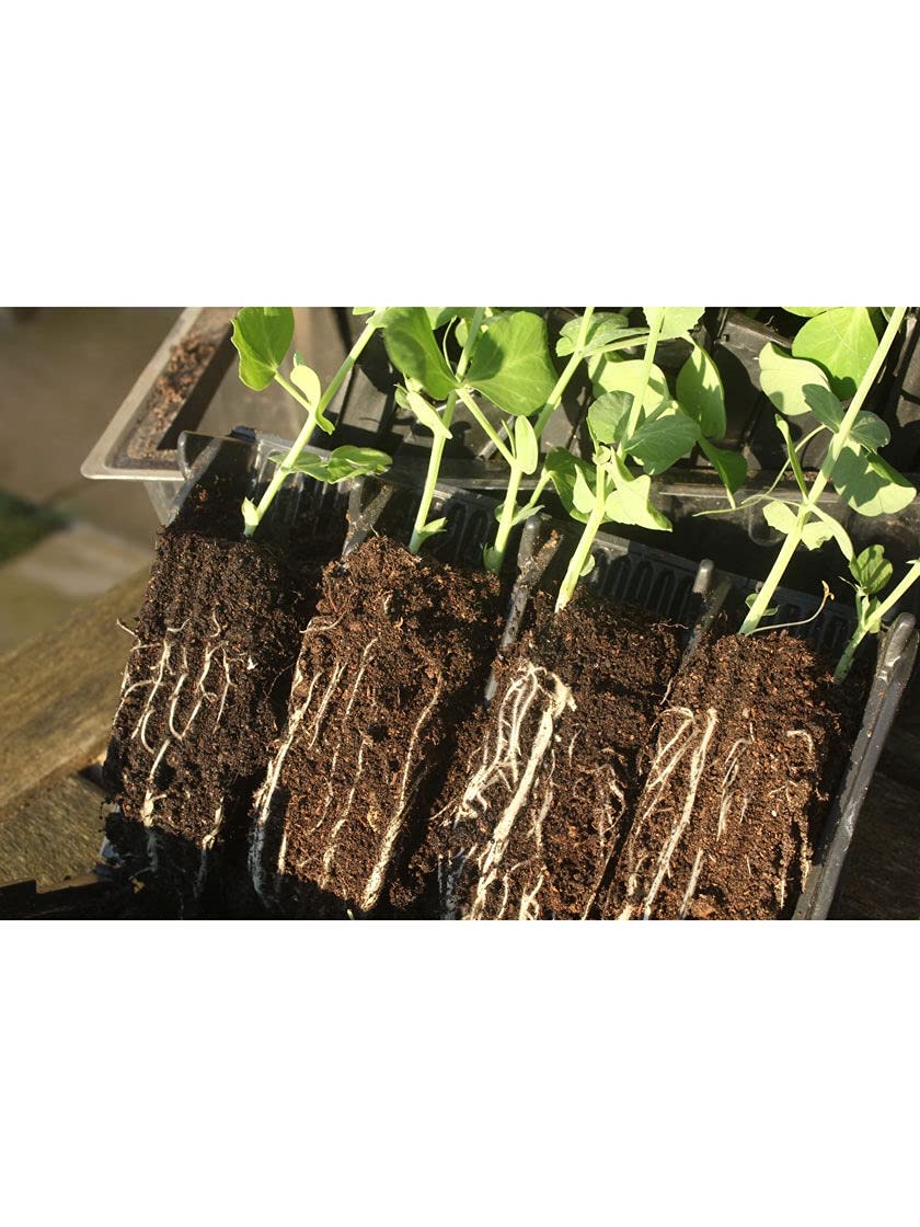 Deep Rootrainer Seed Starter, Plastic 11-1/2" L x 9" W x 3-1/2" H Overall, 32 Cells 1-1/2" Square x 5" H Each, Holding Tray and Dome Included, Promotes Downward Root Growth, Reusable