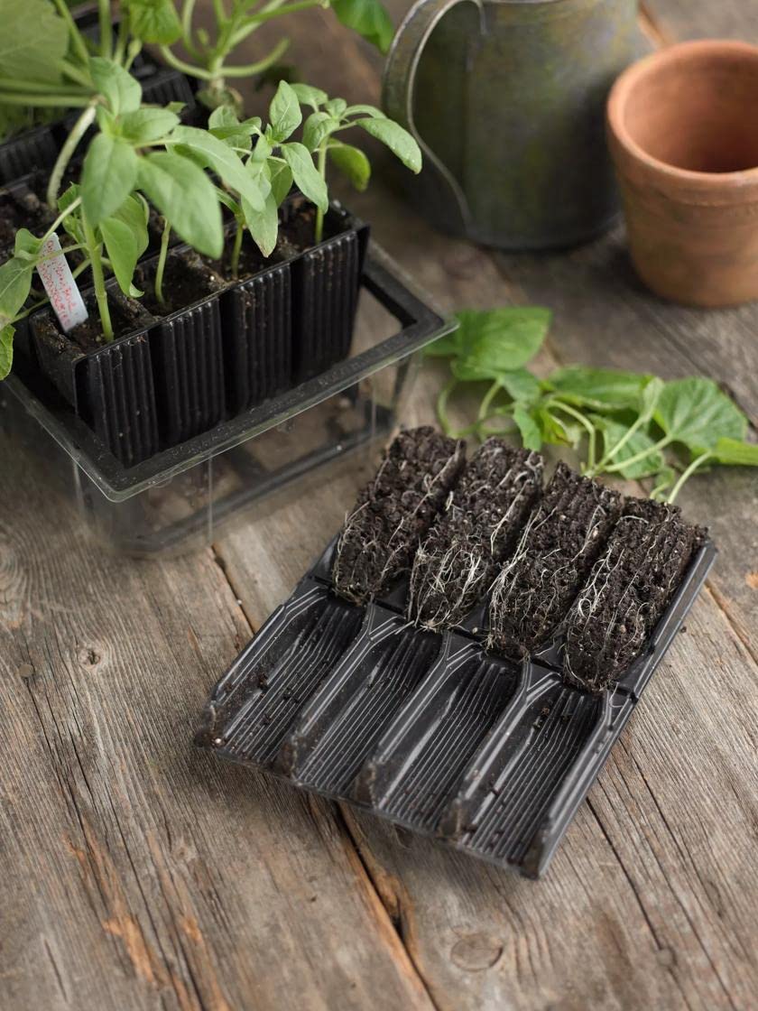 Deep Rootrainer Seed Starter, Plastic 11-1/2" L x 9" W x 3-1/2" H Overall, 32 Cells 1-1/2" Square x 5" H Each, Holding Tray and Dome Included, Promotes Downward Root Growth, Reusable