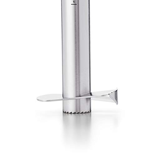 OXO Good Grips Stainless Steel Pineapple Corer & Slicer,Silver/Black