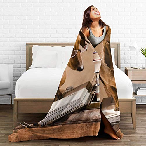 YCKNJYSG Dachshund Professor Fleece Throw Blanket Cozy Couch Bed Sofa Blanket, 60'' X 80''