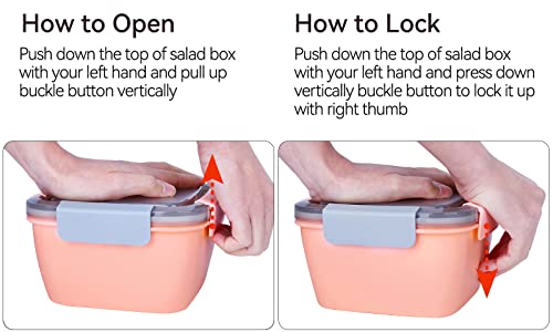 Ylebs 2 Pack Bento Box Adult Lunch Box,52-oz Salad Bowls,3 Compartment Tray with Salad Dressings Container,Used to Meal Pre-prepare Food Fruit Snack,Leak Proof (Pink)