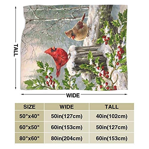 Blanket Red Christmas Birds Throw Blanket Ultra Soft Velvet Blanket Lightweight Bed Blanket Quilt Durable Home Decor Fleece Blanket Sofa Blanket Luxurious Carpet for Men Women Kids