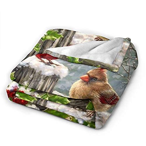 Blanket Red Christmas Birds Throw Blanket Ultra Soft Velvet Blanket Lightweight Bed Blanket Quilt Durable Home Decor Fleece Blanket Sofa Blanket Luxurious Carpet for Men Women Kids