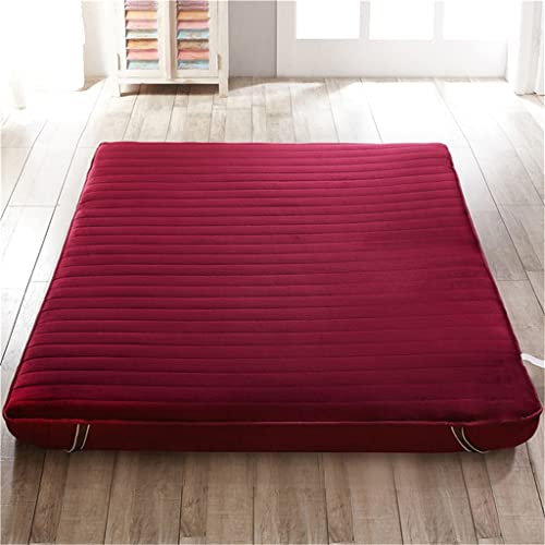 YLYAJY Thickened Flannel Mattresses Keep Warm Tatami Solid Student Dormitory Mattress King Queen Twin Full Size (Color : White-Dinosaur Doodle4, Size : 120x200cm(47x79in))