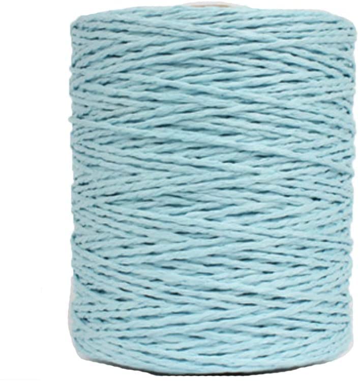 HXSCOO Natural Cotton Raffia Yarn Crochet Summer Sun Hat Yarn Natural Cotton Line Rayon Raffia Yarn Cotton Raffia Rope for Summer Sun Straw Hat Beach Bag DIY Hand Knitting Handbag (Color : Sky Blue)