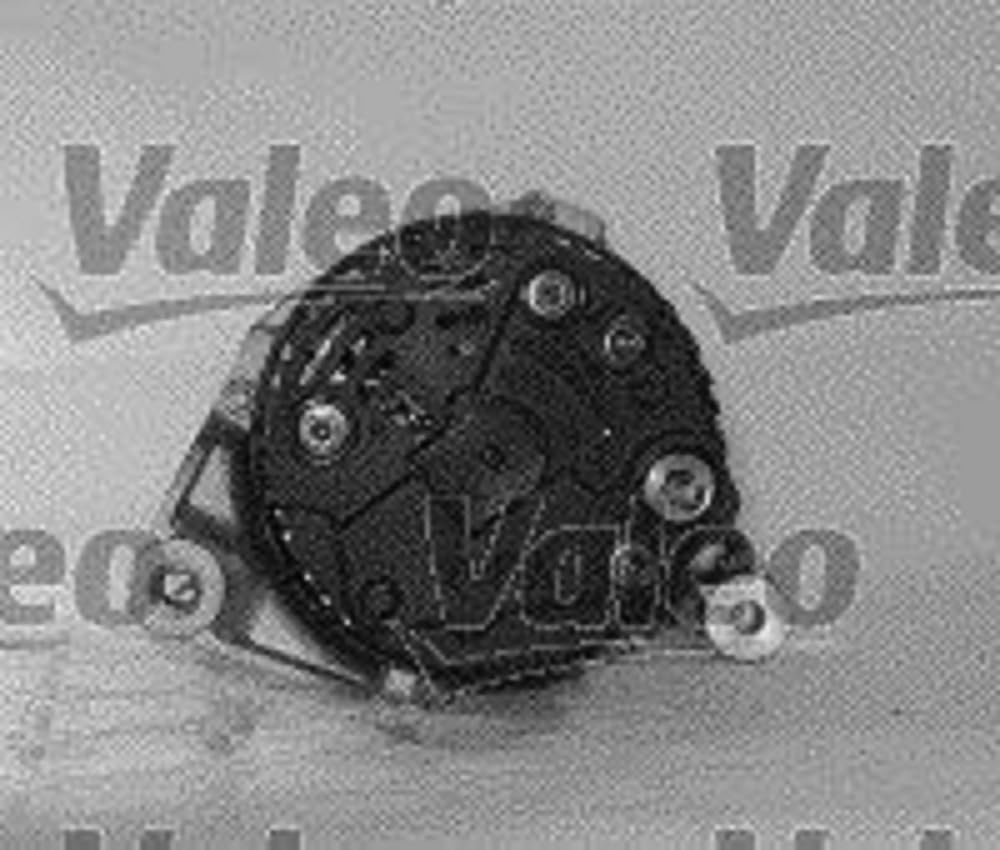 Artemio 18 x 10.5 cm Wooden Silhouette - Turtle and Pea Carapace