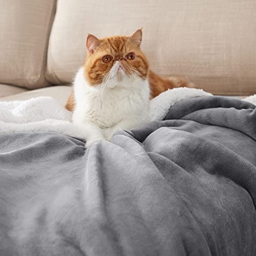 Bedsure Sherpa Fleece Queen Size Blankets for Bed - Thick and Warm Blankets for Winter, Soft and Fuzzy Blanket Queen Size, Grey, 90x90 Inches