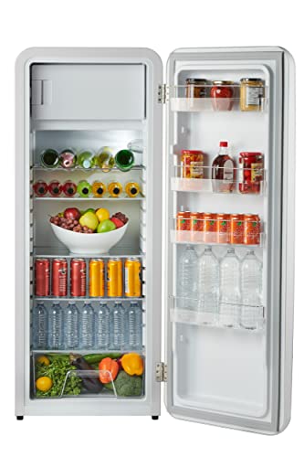 iio 24" 10 Cu Ft Top Freezer Retro Refrigerator, Small, with Mini Ice Cube Tray, 4 Glass Shelves, LED, 1 Crisper, Fridge for Bedroom, Dorm RV Office Beverage, Quiet Compressor, Freestanding (White)