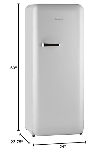 iio 24" 10 Cu Ft Top Freezer Retro Refrigerator, Small, with Mini Ice Cube Tray, 4 Glass Shelves, LED, 1 Crisper, Fridge for Bedroom, Dorm RV Office Beverage, Quiet Compressor, Freestanding (White)