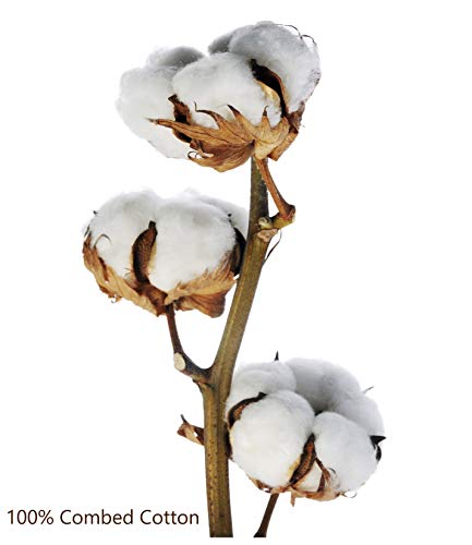 Glamburg 100% Soft and Breathable Cotton Thermal Blanket Twin Charcoal - Perfect for Layering Any Bed for All Season