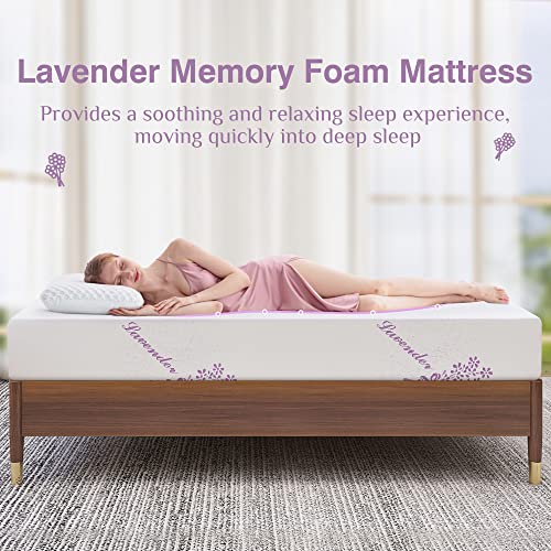 Hcore 8 Inch Twin Memory Foam Mattress,Cooling Lavender Mattress in a Box,Medium-Firm Mattress Made in USA,Pressure Relief & Temperature Regulation,Fiberglass-Free,CertiPUR-US Certified