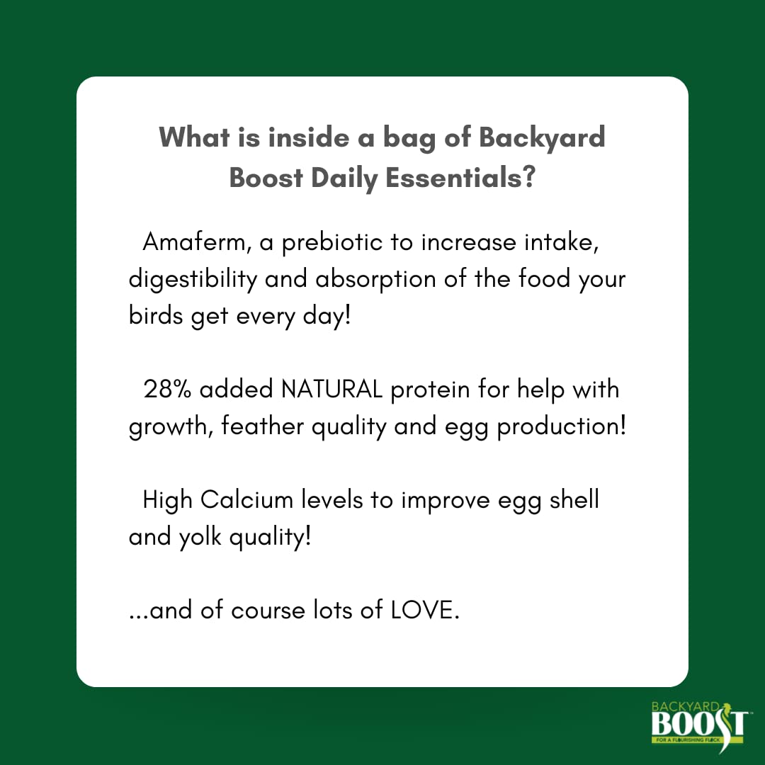 Backyard Boost Daily Essentials Chicken Feed | Palleted High Protein Food for Laying Hens | 2.5 Pound Bag