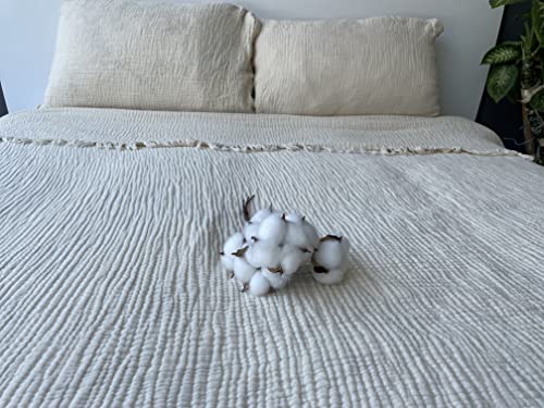 Muslin Blanket 100% Cotton, 4 Layers Bedspread, Soft Turkish Cotton Muslin Bed Cover, Reversible Coverlet, Ivory (King Size 95x102-230x260cm)